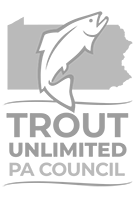 Native Trout – PA Council of Trout Unlimited
